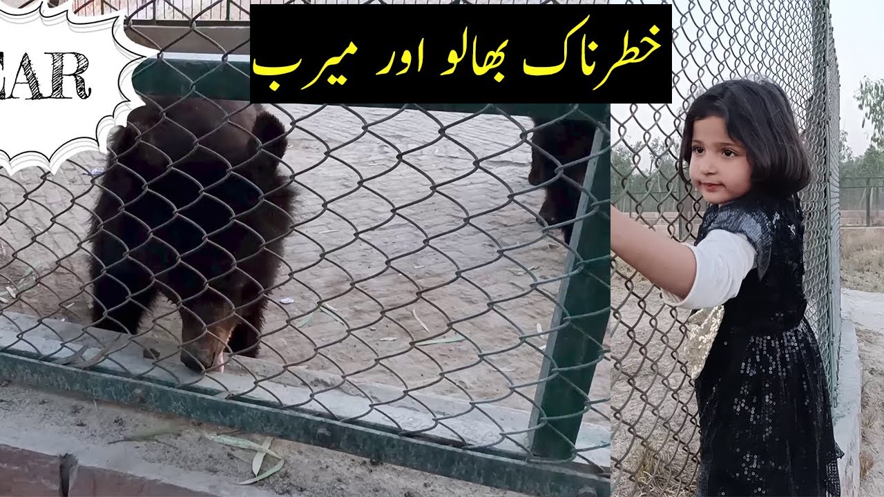A Day at the Zoo 🥰 Meerab Fatima's Adventure | Etna Bada Bear 😬 - YouTube
