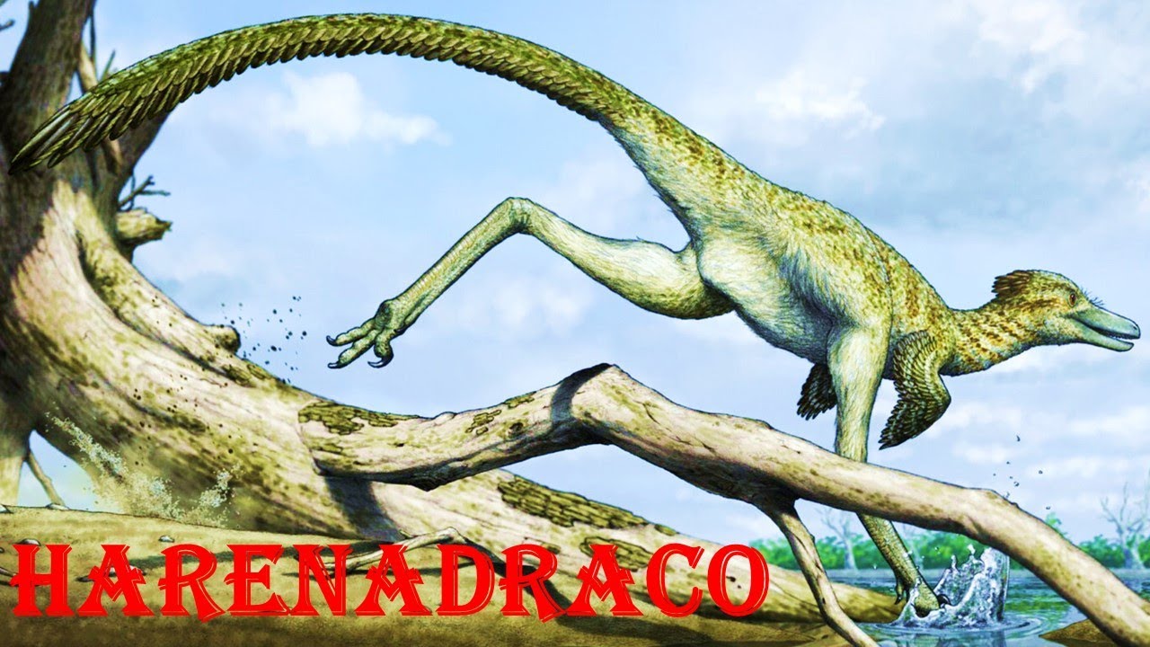 harenadraco - YouTube