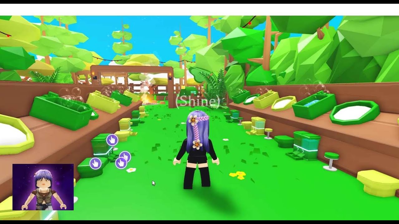 Adopt Me - Asked to Build A Grinding Glitch Build - YouTube