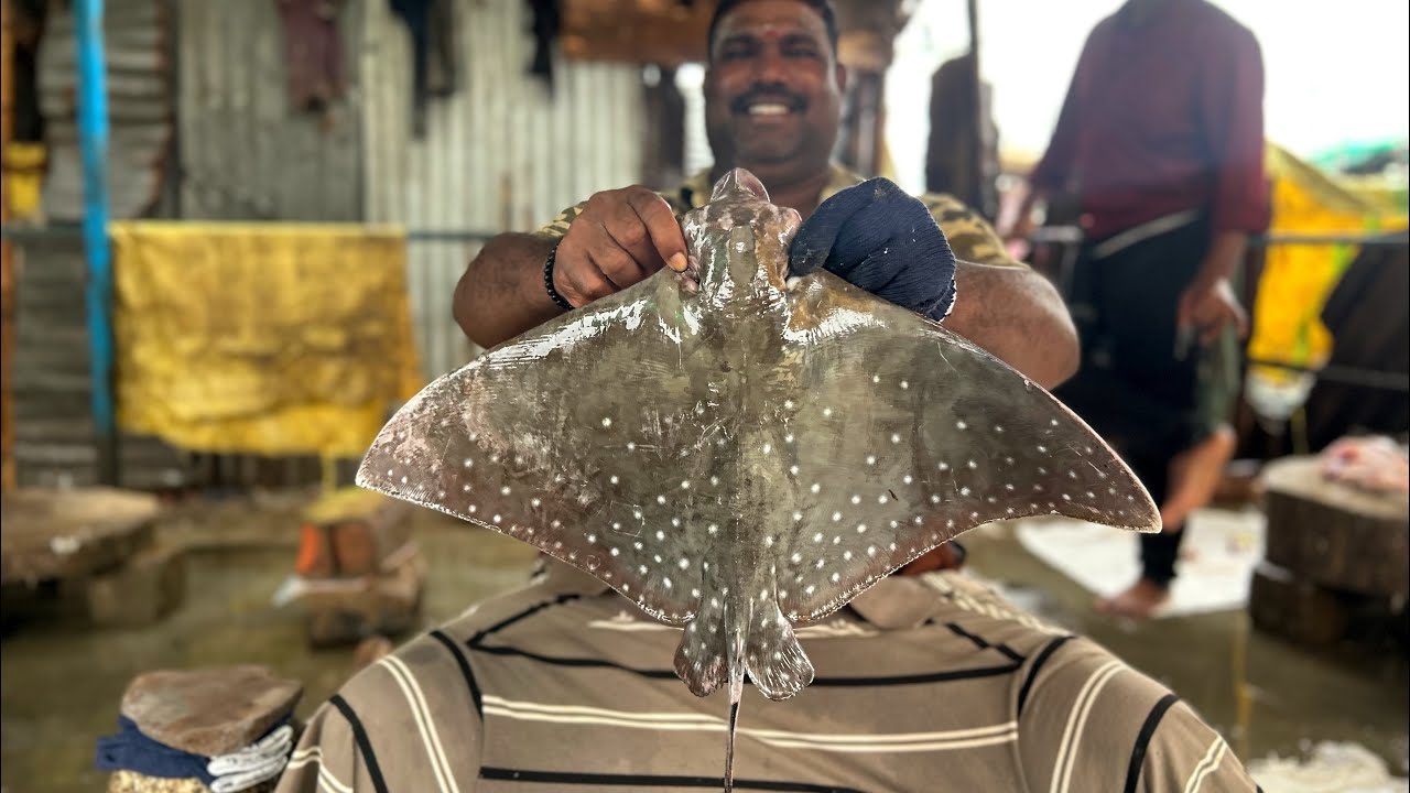 🤯🍖KURUVI THIRUKAI | KASIMEDU MINNAL RAJA FISH CUTTING SKILLS VIDEO # ...