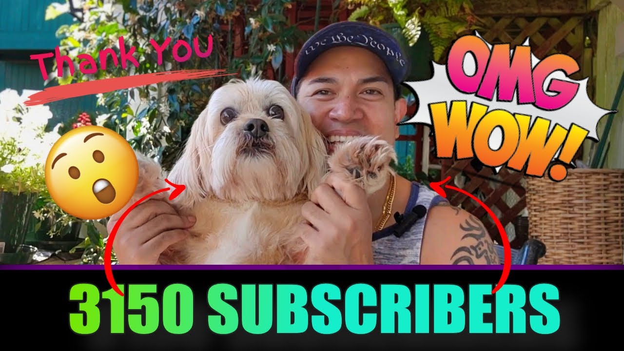 Youtube Milestone: HEY MILO!! 3150 SUBSCRIBERS!! - YouTube