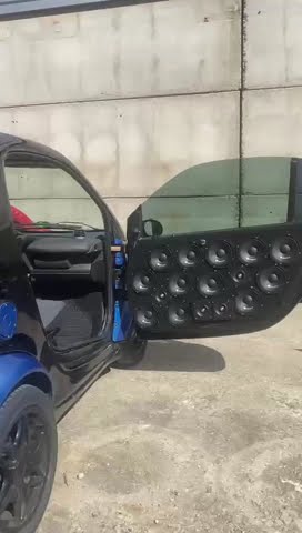 Smart ForTwo 24 Woofer 8 Tweeter 8400watt - YouTube