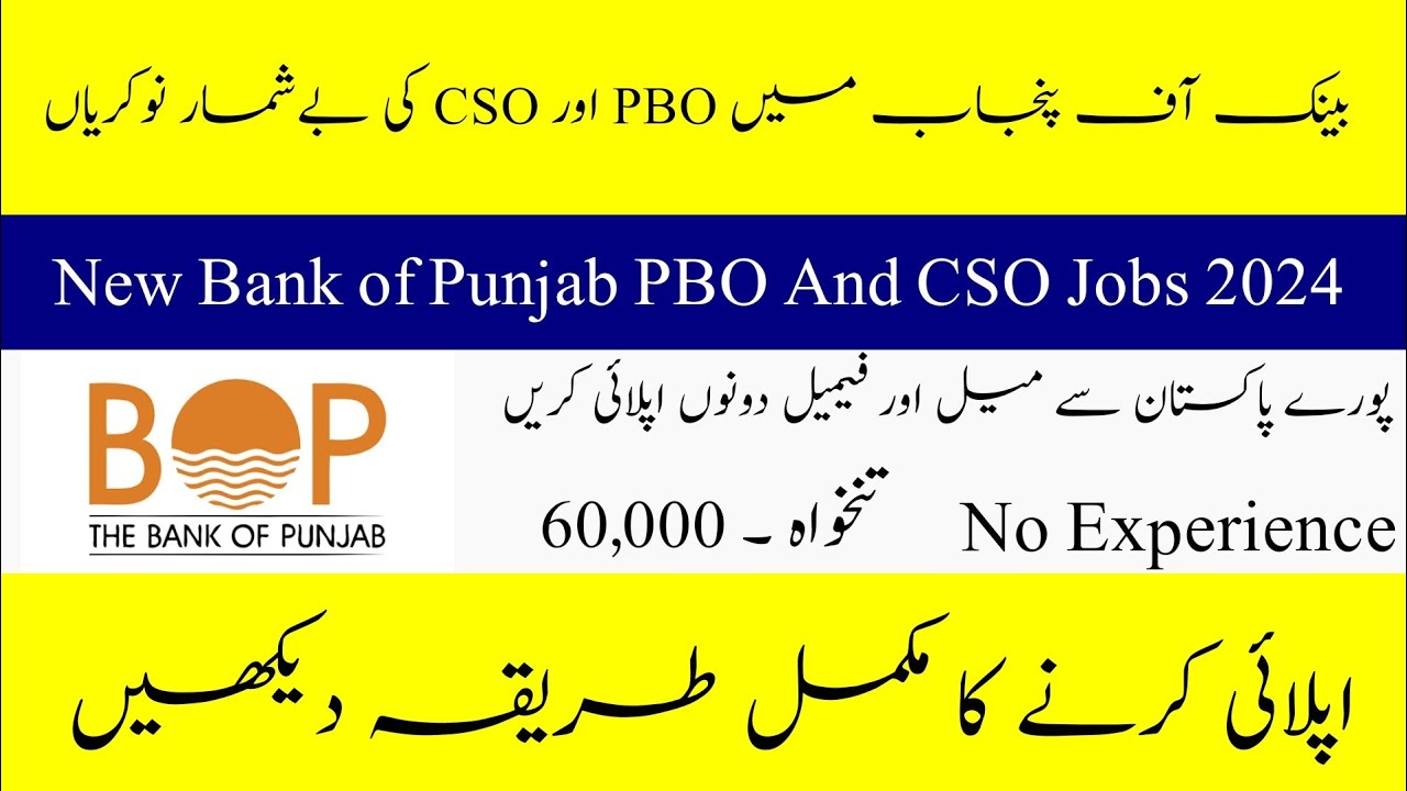 Bank of Punjab PBO And CSO Jobs 2024- New Career Opportunity In ...