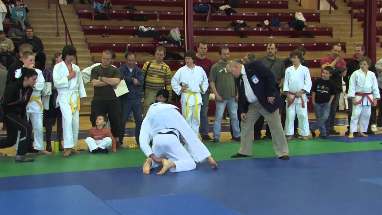 JUDO slezský pohár Opava 2013 - YouTube