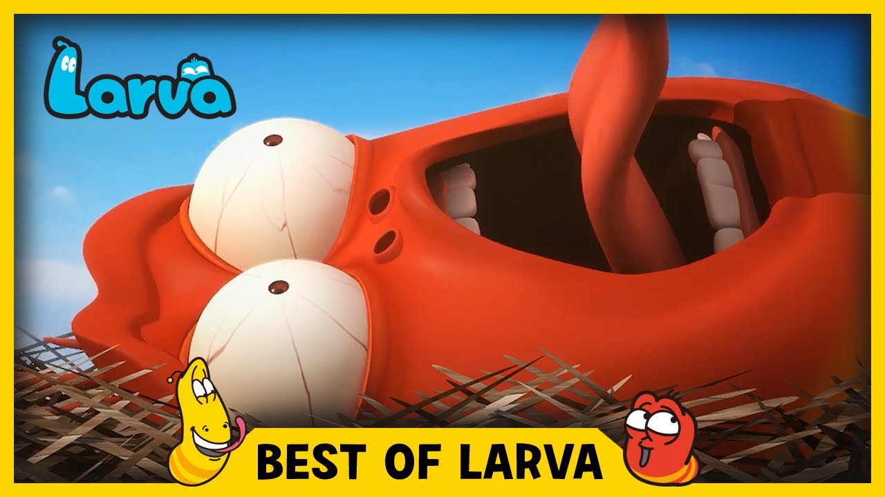 LARVA | BEST OF LARVA | Cartoons | Comics | LARVA 2017 WEEK 21 - YouTube