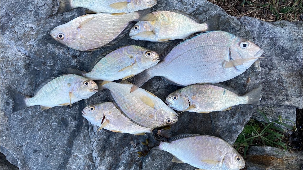 Virginia Spots hittin on the North Shore!! What a loss at the end smh ...