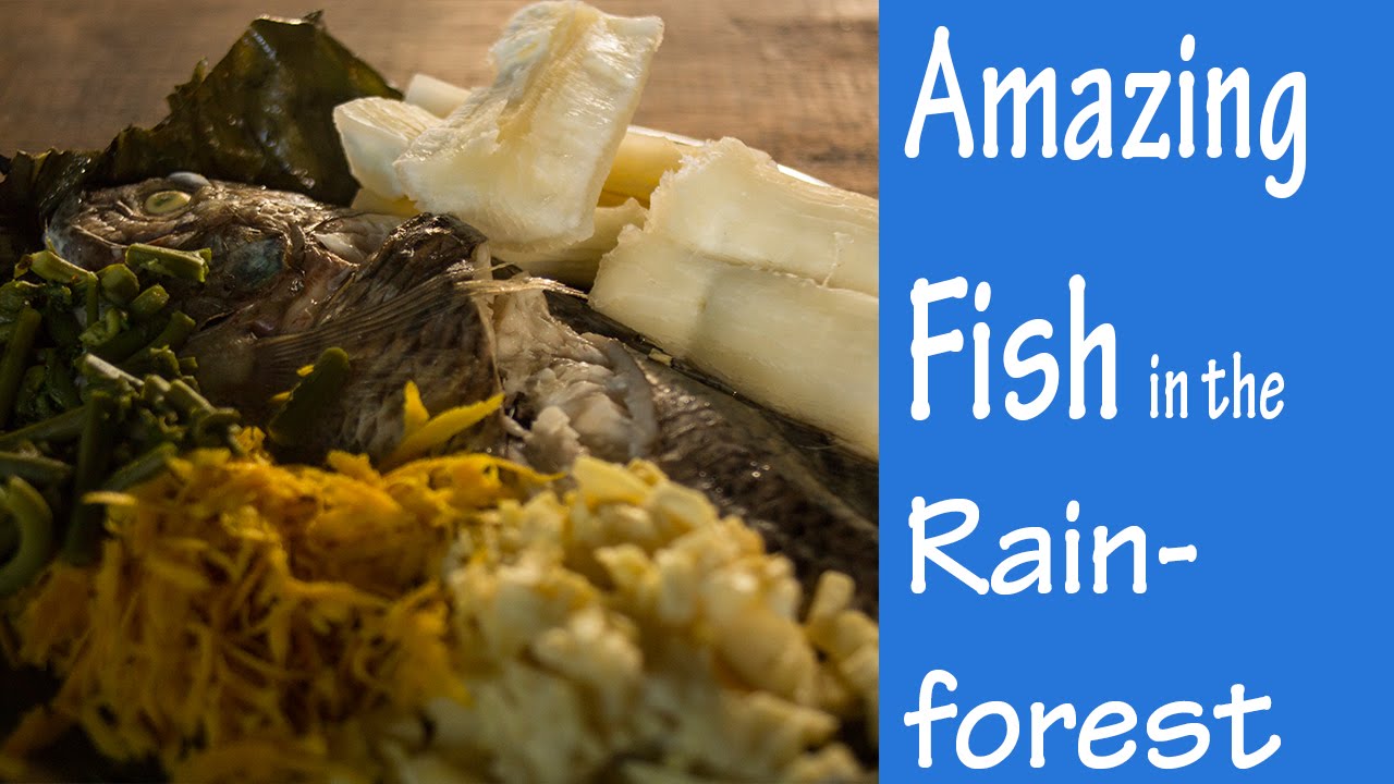 How to prepare cooked Fish "Maito" in the Rainforest, Ecuador - YouTube