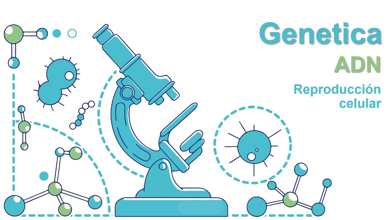 Biología general (Genética: ADN y reproducción celular) - YouTube