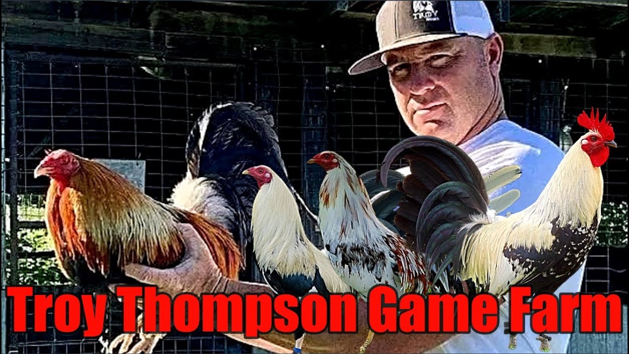 Lets Visit The Farm Of Troy Thompson Game Farm - YouTube