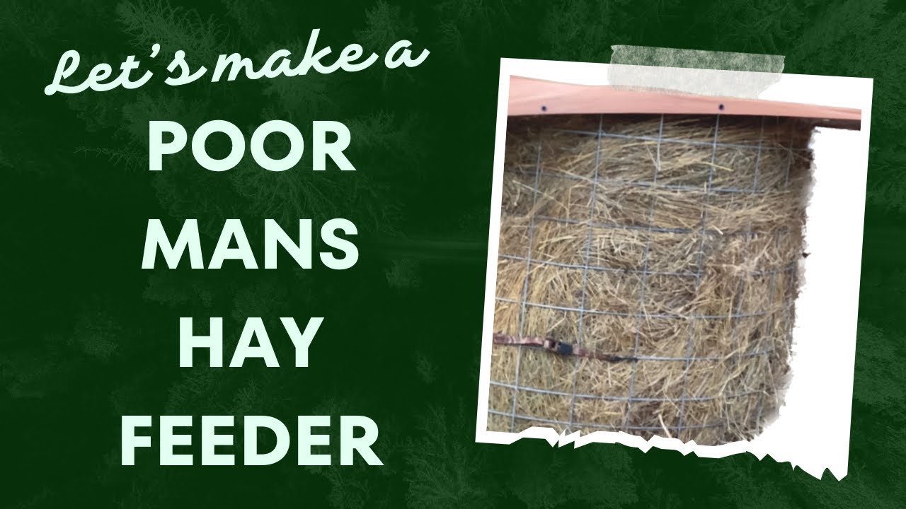 A poor man’s hay feeder! - YouTube