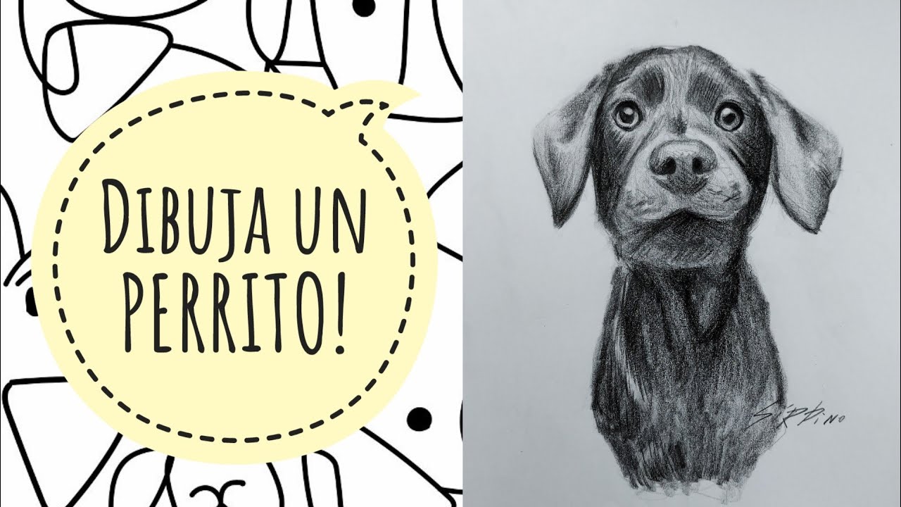 Cómo DIBUJAR un PERRITO 🐶 desde las figuras geométricas. - YouTube