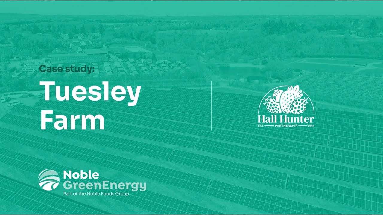 Noble Green Energy Solar PV Case Study | Tuesley Farm - YouTube