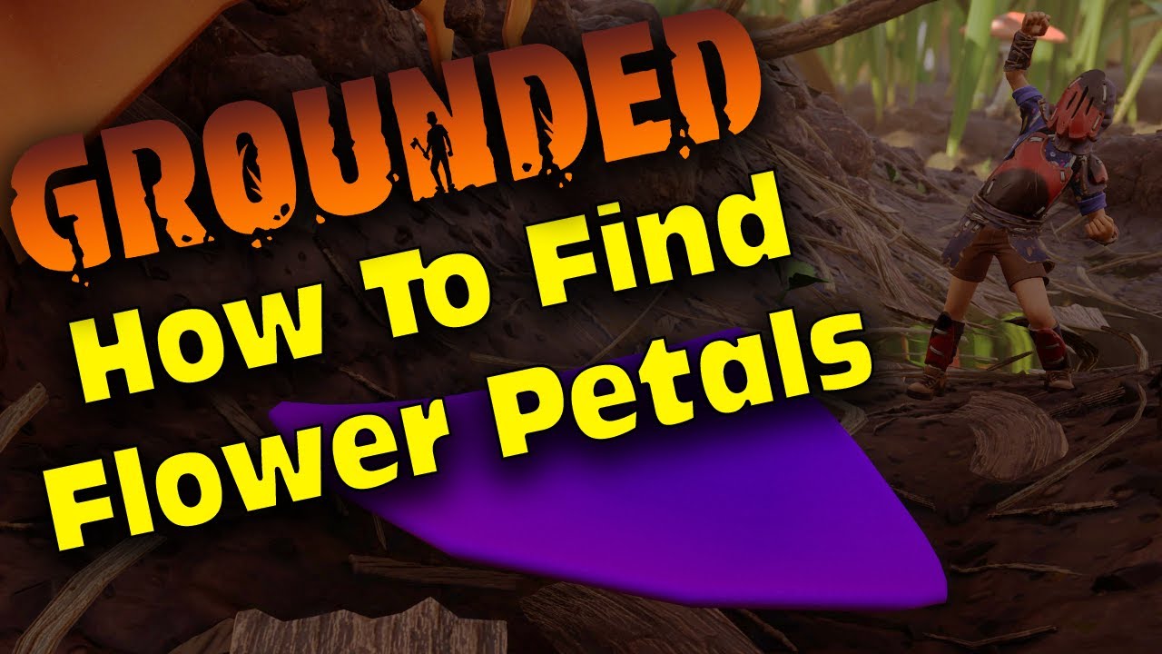 Grounded How To Get Flower Petals Where To Find Flower Petals In Grounded YouTube Grounded How To Get Flower Petals Where To Find Flower Petals In Grounded YouTube