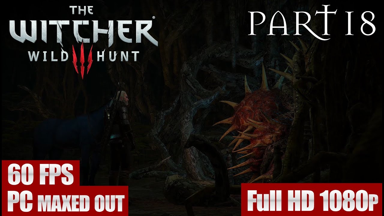 The Witcher 3: Wild Hunt - Walkthrough #18 PC gameplay Maxed Out Full ...