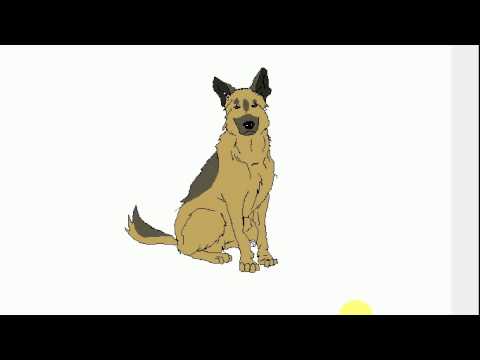 Dog Wagging Tail Animation With Gimp - YouTube