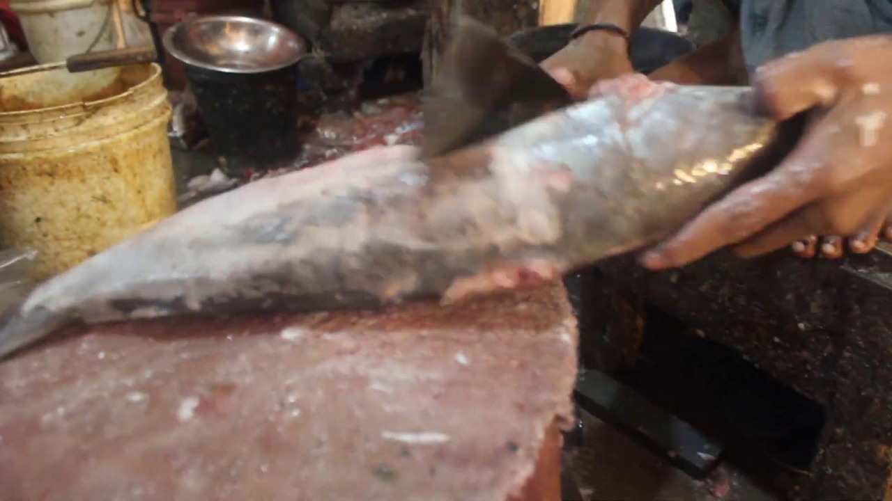 Professional fish cutting 2019 in fish market|Fastest Baghair fish ...