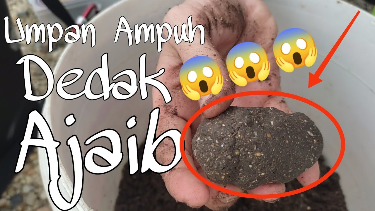 CARA BUAT DEDAK UNTUK SEMUA JENIS IKAN | IKAN MKN DEDAK JA | VLOG #07 ...