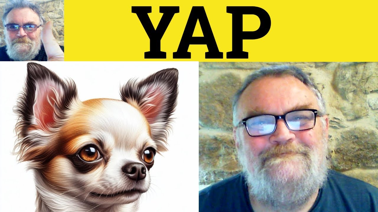 😎 Yap Meaning - Yap Defined - Yap Definition - Yap Examples - Yap - YouTube