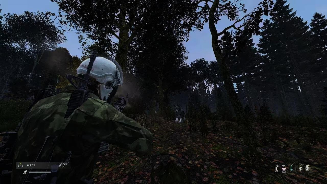 Dire Wolf Hunting in Dayz - YouTube