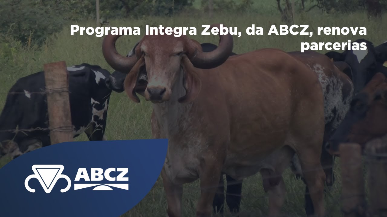 Programa Integra Zebu, da ABCZ, renova parcerias - YouTube