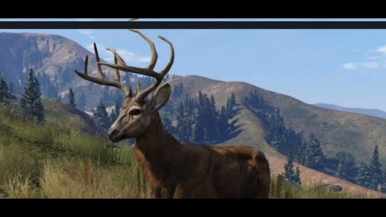 Quant_hunter - YouTube
