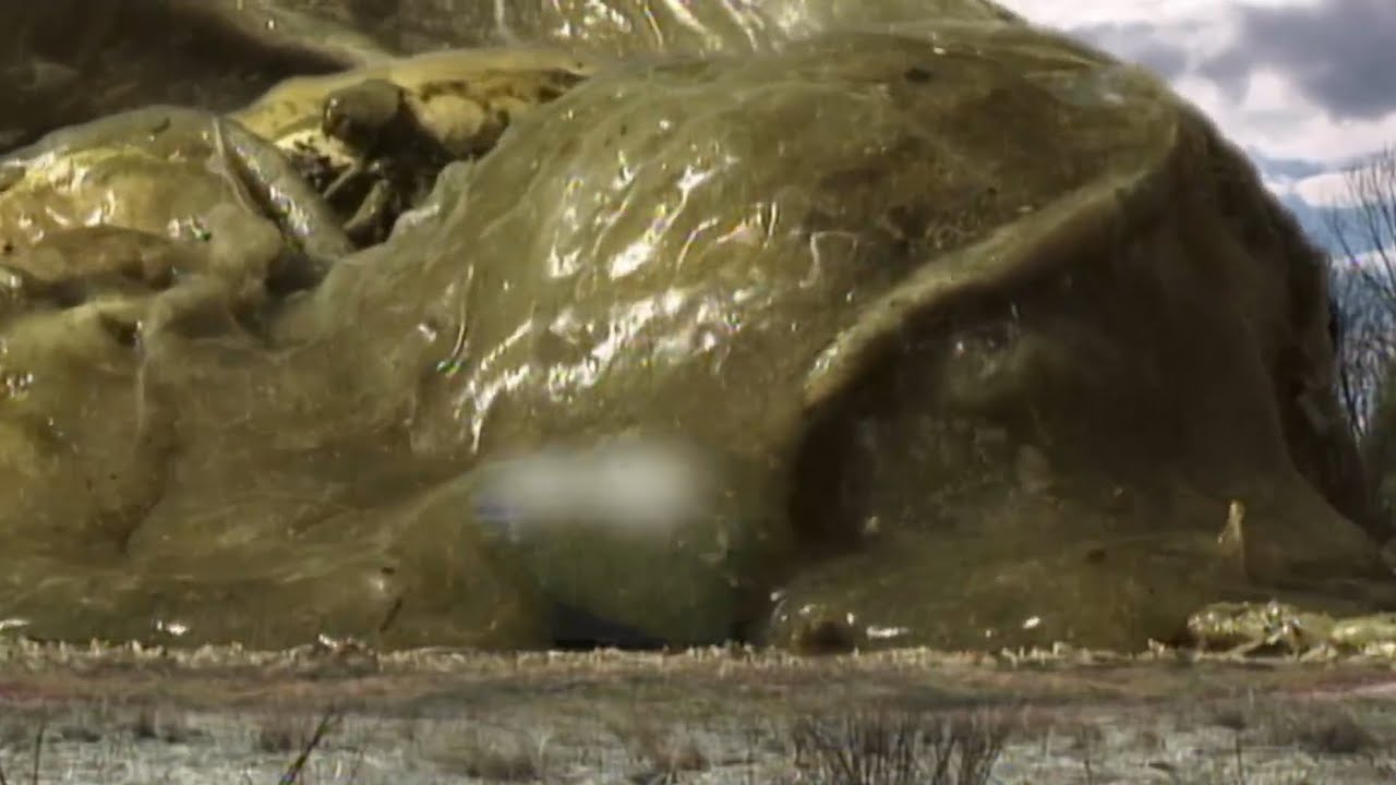 Meet Bacterial Monster, in Bacterium (B 2006) - YouTube