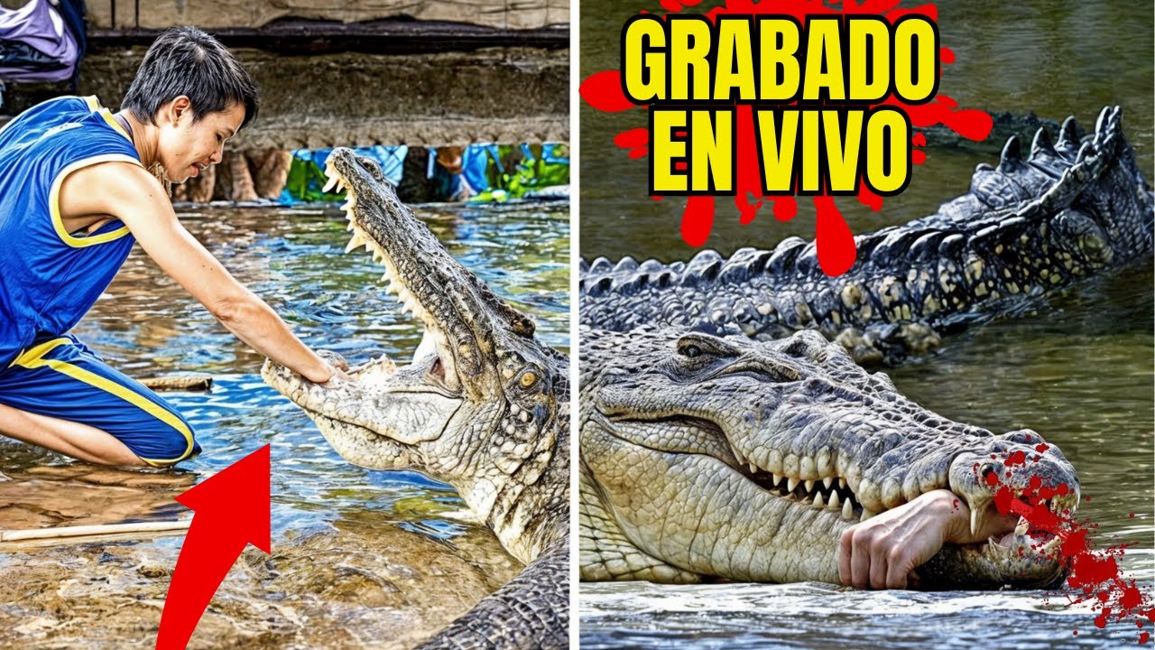 Los 5 Ataques de Cocodrilos Más Brutales de la Historia - YouTube