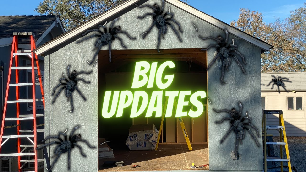 Shed To Home Bar Roofing Completed | Insulation | Harry the Tarantula ...
