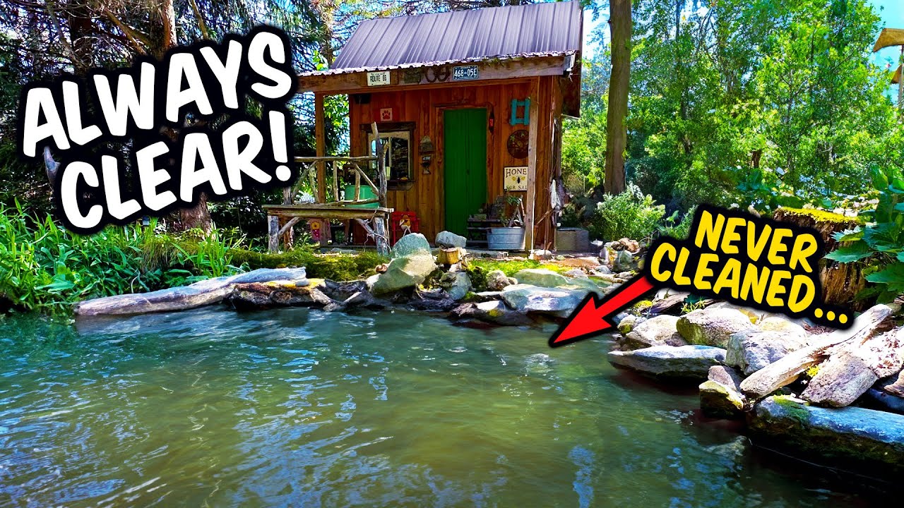 EASY Maintenance Pond. NEVER Cleaned, Looks PERFECT - YouTube