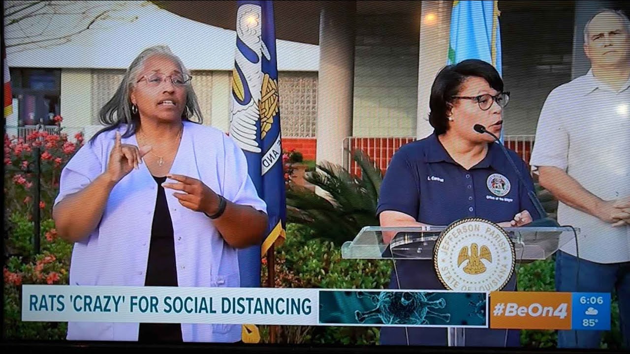 WWL Bourbon Street Rats Story - YouTube