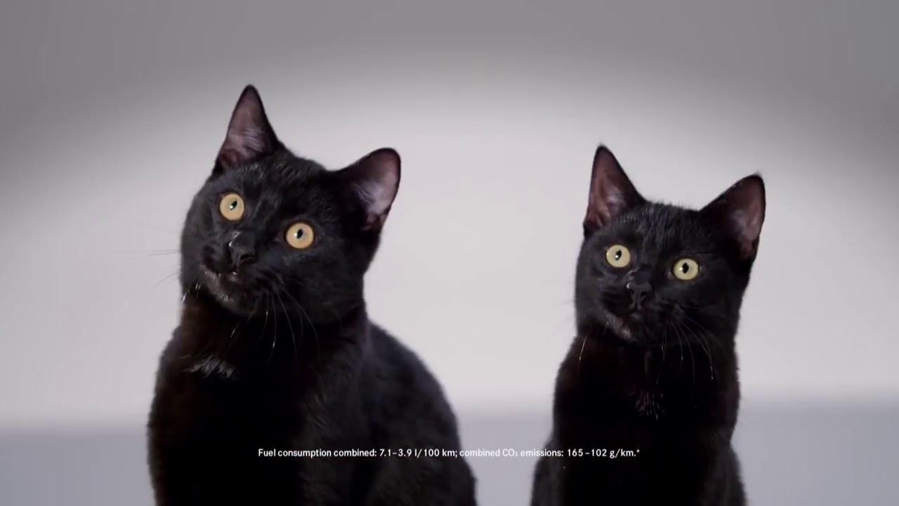 Best Funny Car Ads Mercedes Aerodynamics - YouTube