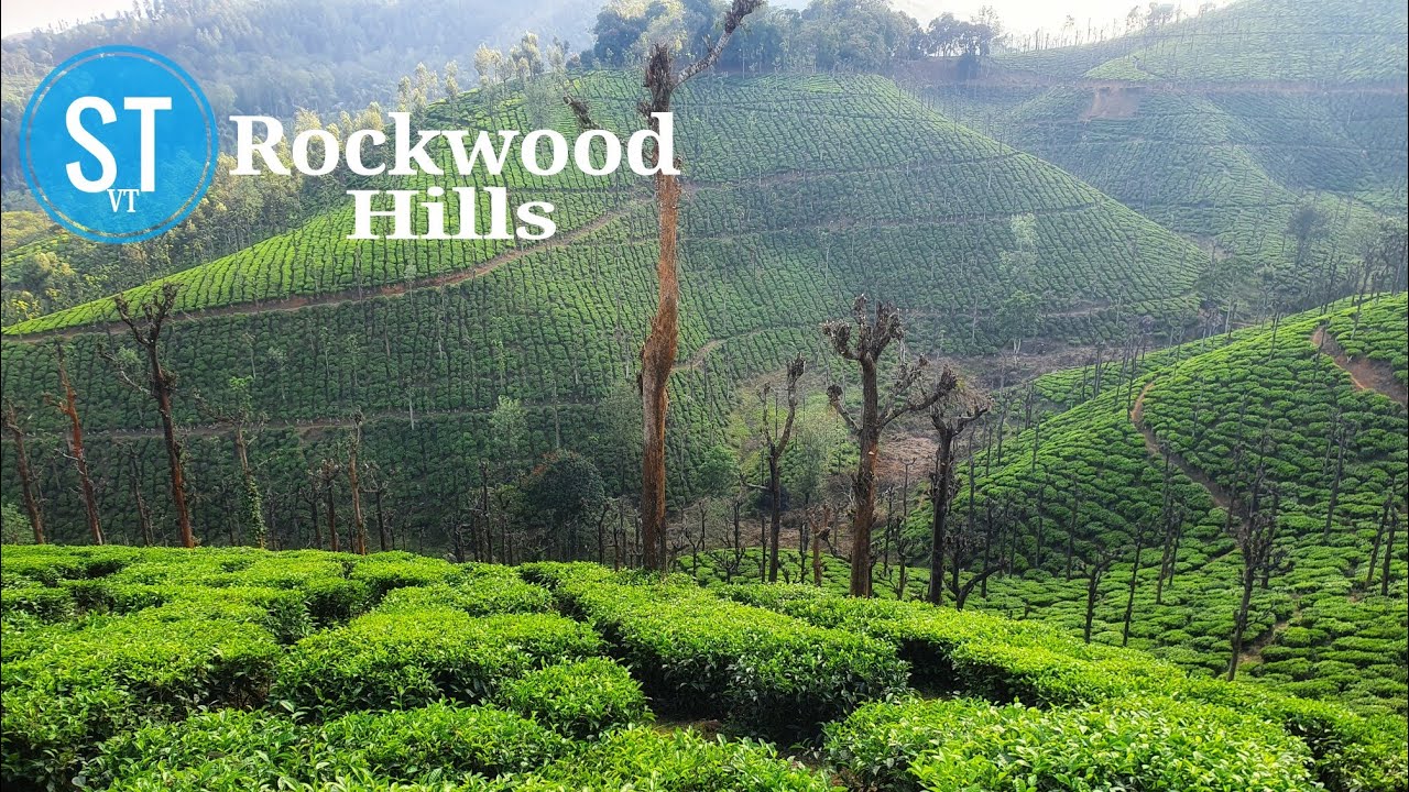 Exploring Rockwood Tea Hills - YouTube
