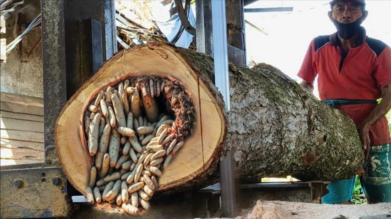 The charm of a beautiful old mahogany tree becomes a 2x20cm board - YouTube