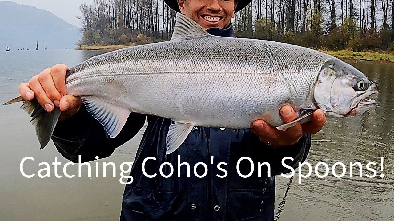 Fishing For Coho Salmon In The River With Spoons - YouTube