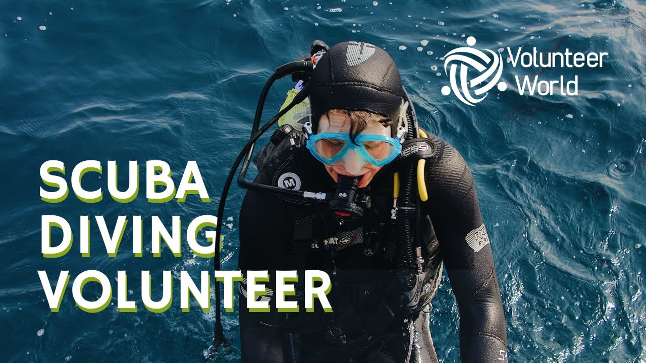 Scuba Diving Volunteering and Ocean Protection - YouTube