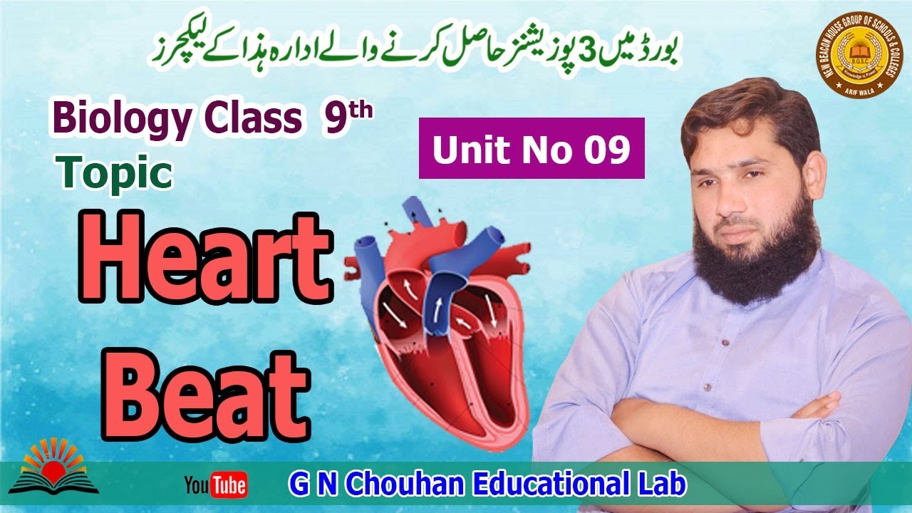 Heart Beat class 9th Bio - YouTube