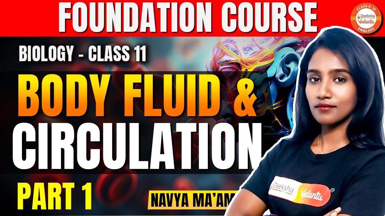 Body Fluid and Circulation | Part -1 | Foundation class 11| JEE/NEET ...