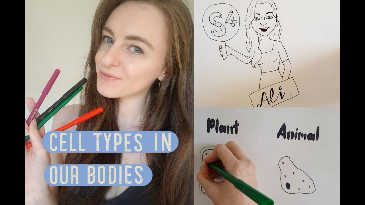 Cell Types in Our Bodies with S4's biologist Ali! - YouTube
