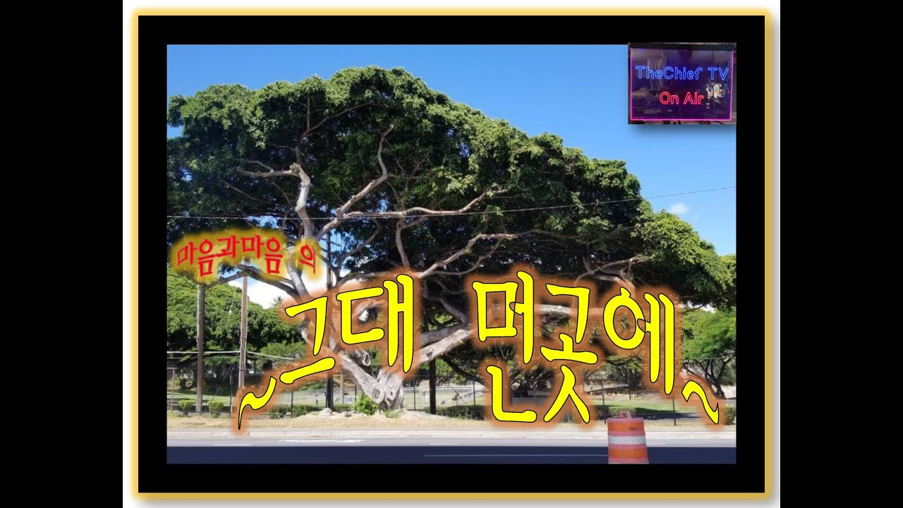마음과 마음 그대 먼곳에 Youtube