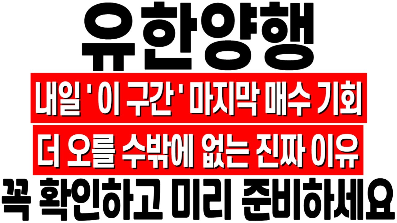 유한양행 주가 전망 더 오를 수밖에 없는 진짜 이유 내일 이 구간 놓치지 마세요 마지막 매수 기회 유한양행 주식 분석