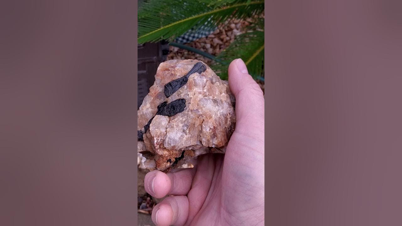 Mudfossil University 3 Youtube