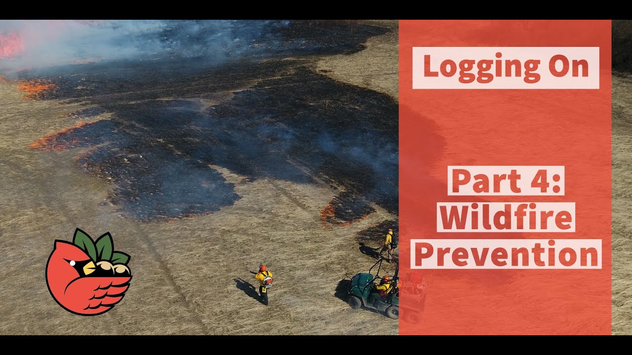 Logging On Part 4: Wildfire Prevention - YouTube