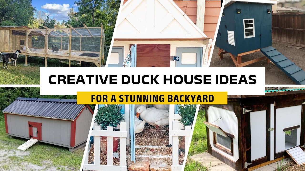 20 Creative Duck House Ideas | Unique Designs for Your Ducks - YouTube