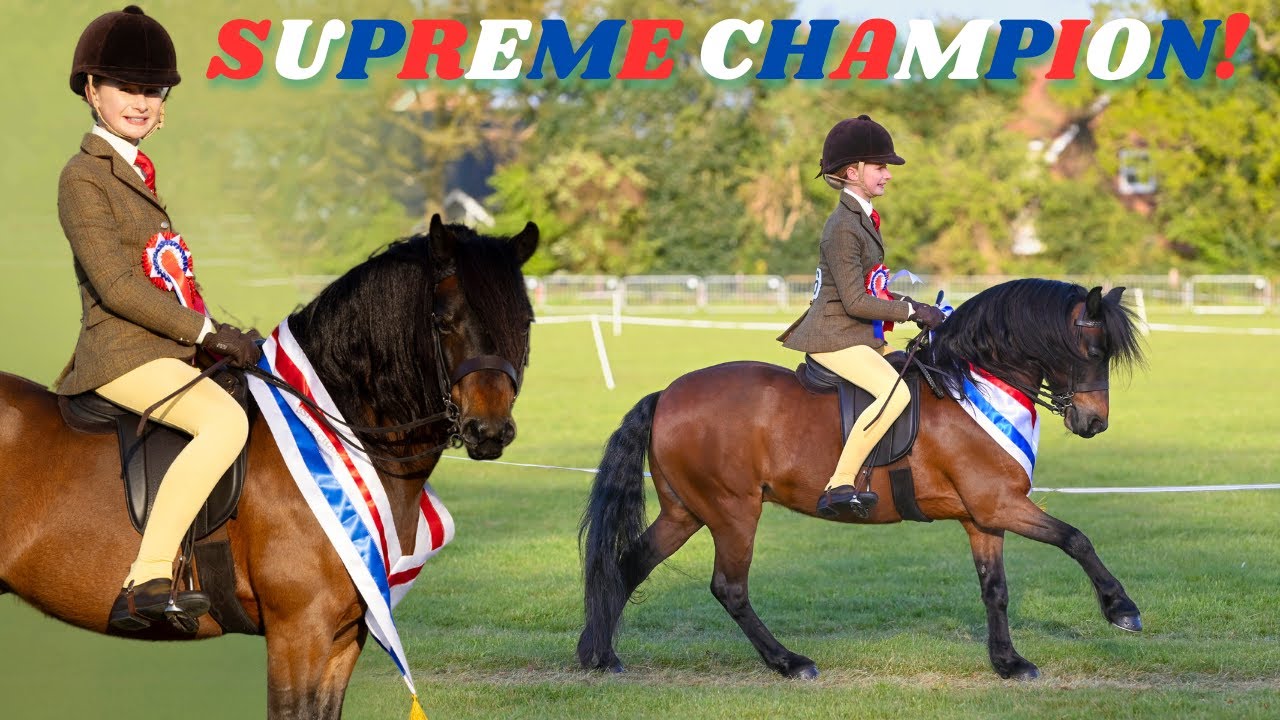 WINNING SUPREME CHAMPION AT OUR STAY AWAY SHOW! - YouTube
