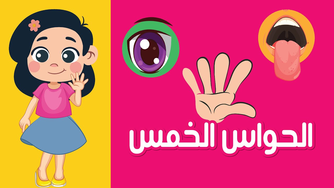 أغنية الحواس الخمس للأطفال Five Senses Song Youtube