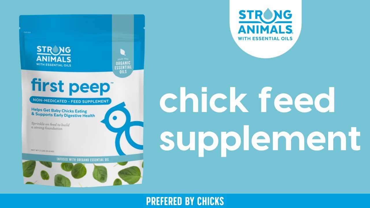 Build a Strong Foundation | First Peep | Strong Animals® Chicken ...