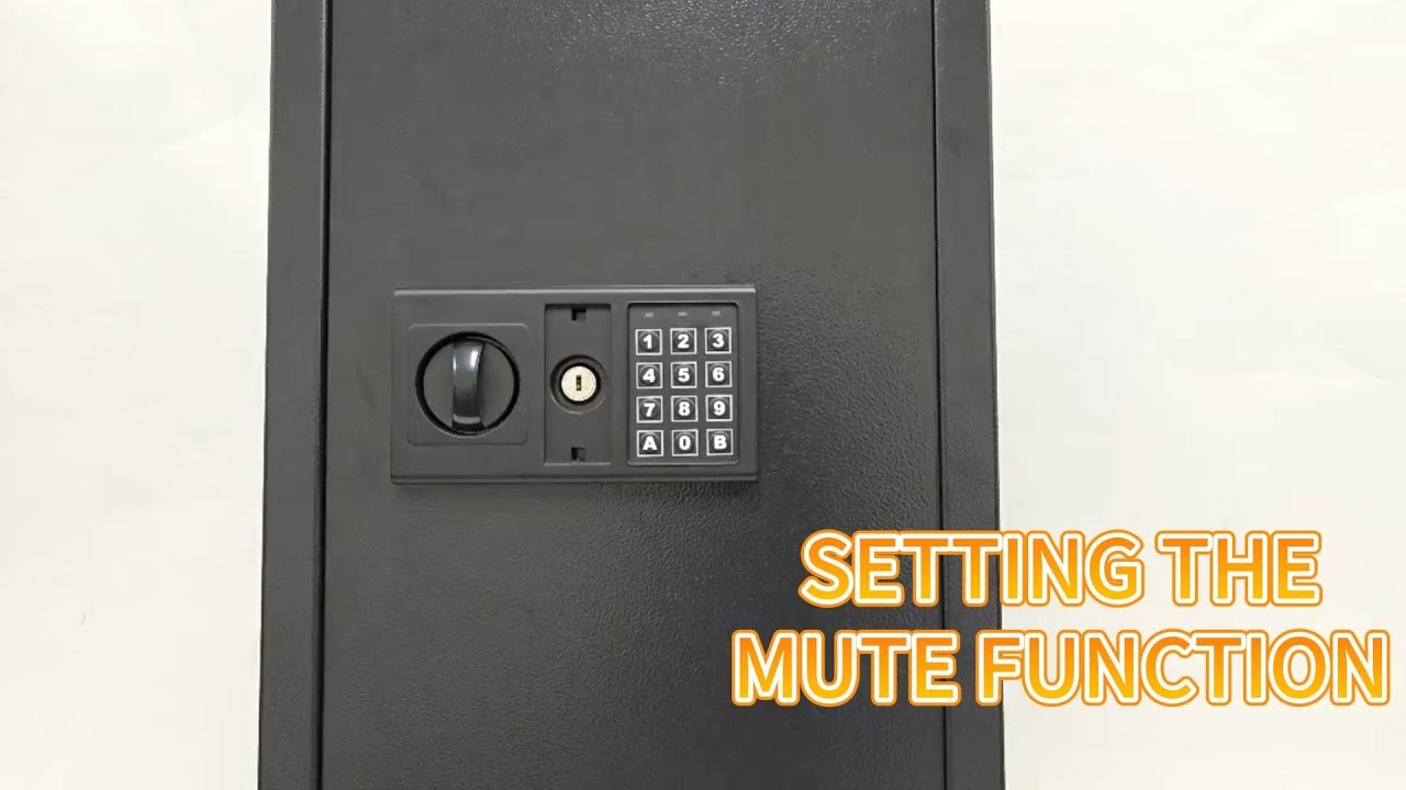 SETTING THE MUTE FUNCTION(EN Models) - YouTube