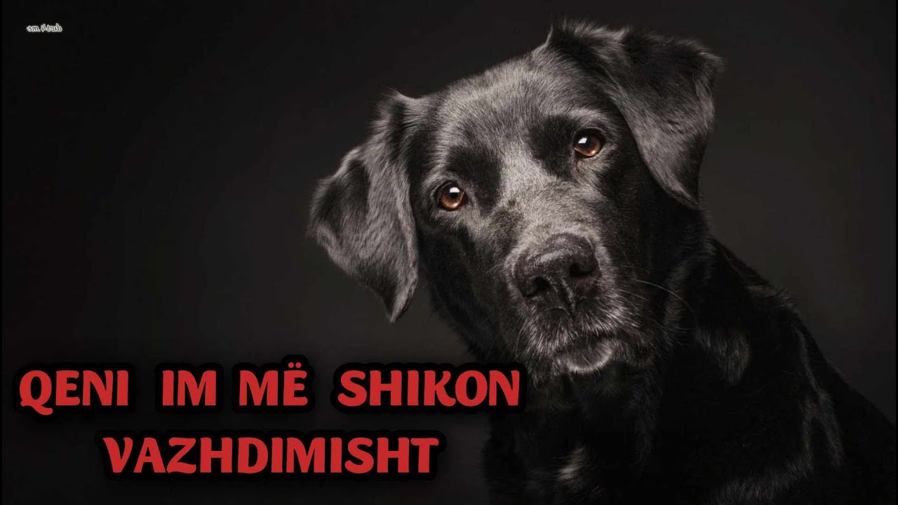 QENI IM MË SHIKON VAZHDIMISHT NË SY ( HISTORI E FRIKSHME ) - YouTube