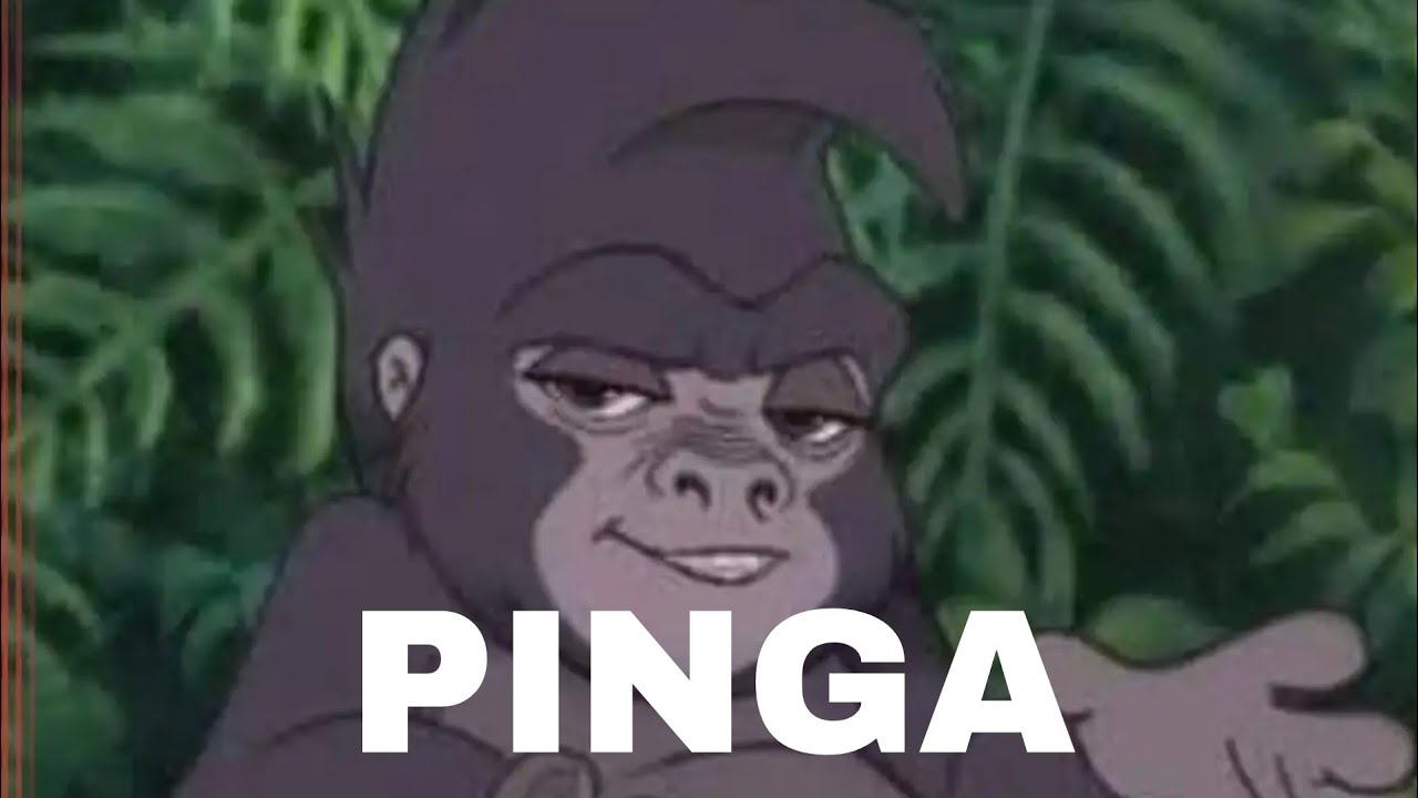 P I N G A - YouTube