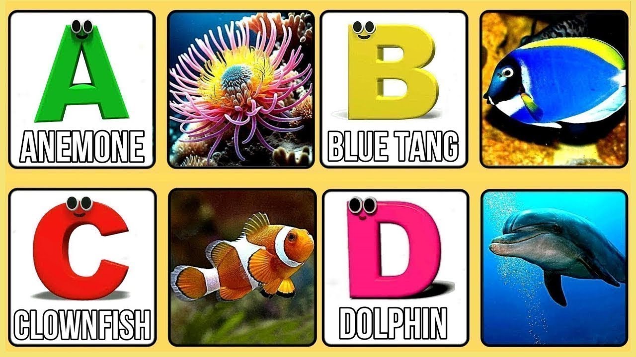 ABC Song | Sea Animals ABC Song | Phonics for Kids, Learn ABC, Baby ...